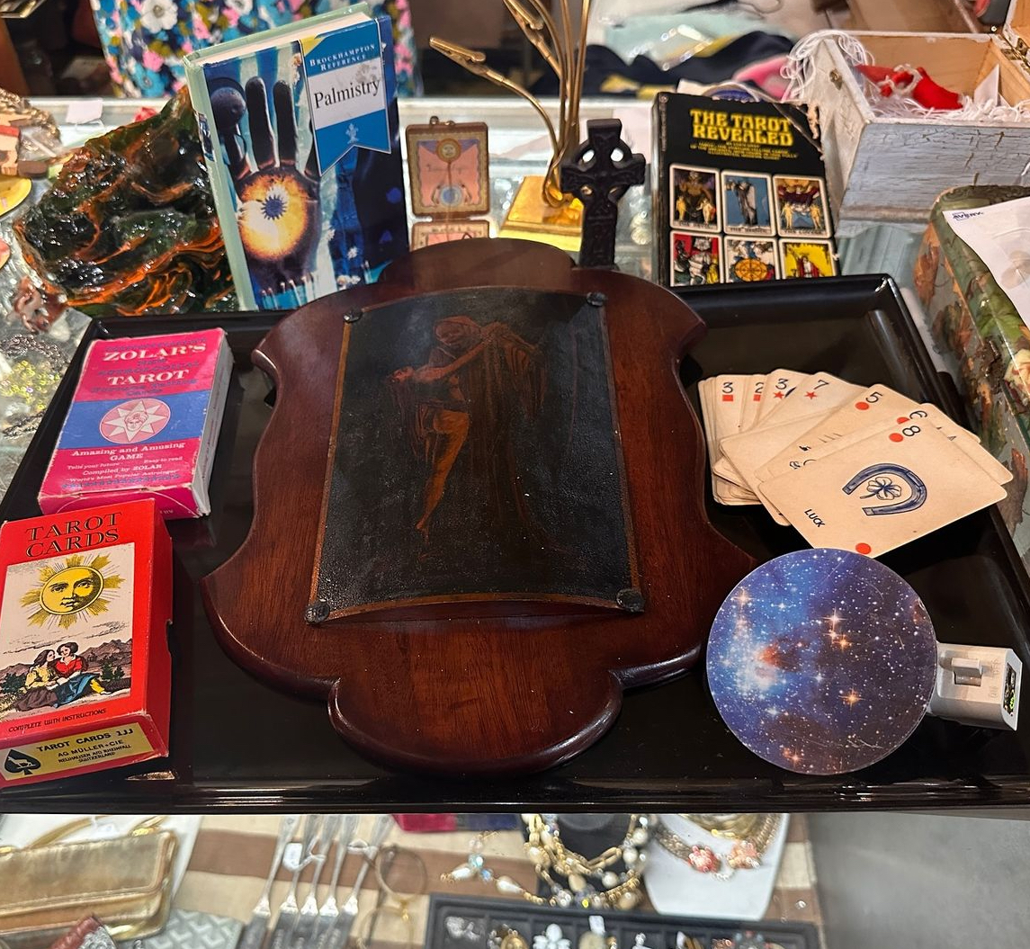 books | DOLLY PYTHON