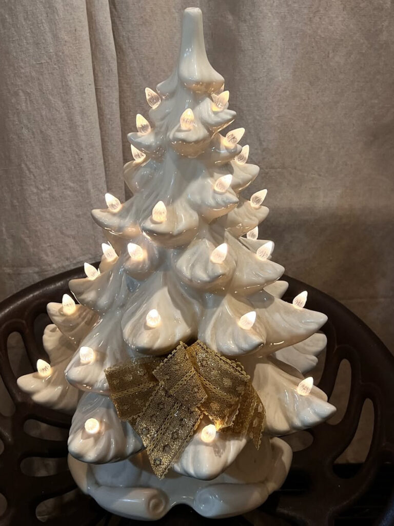 Tree Time | DOLLY PYTHON