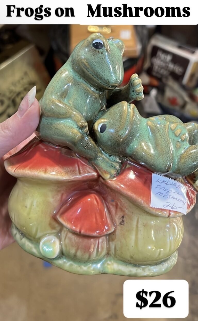 Freaky Frogs | DOLLY PYTHON