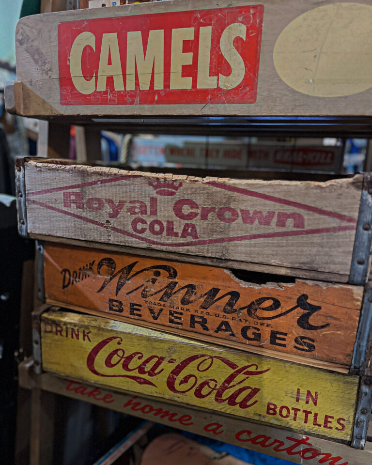 Advertising | DOLLY PYTHON