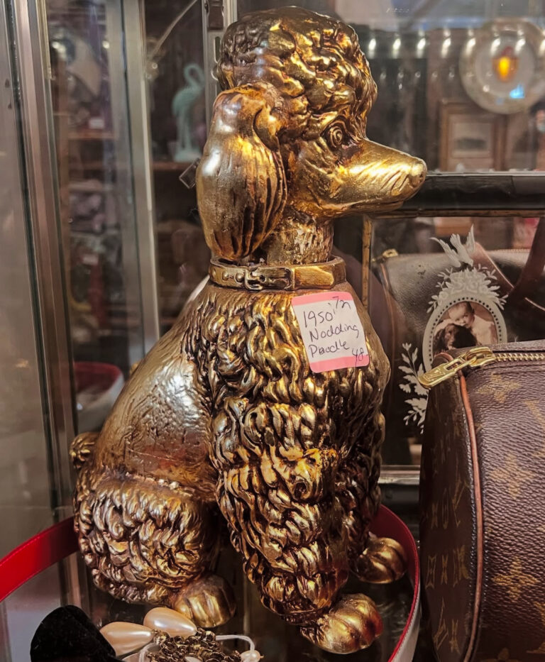 mid century/modern | DOLLY PYTHON