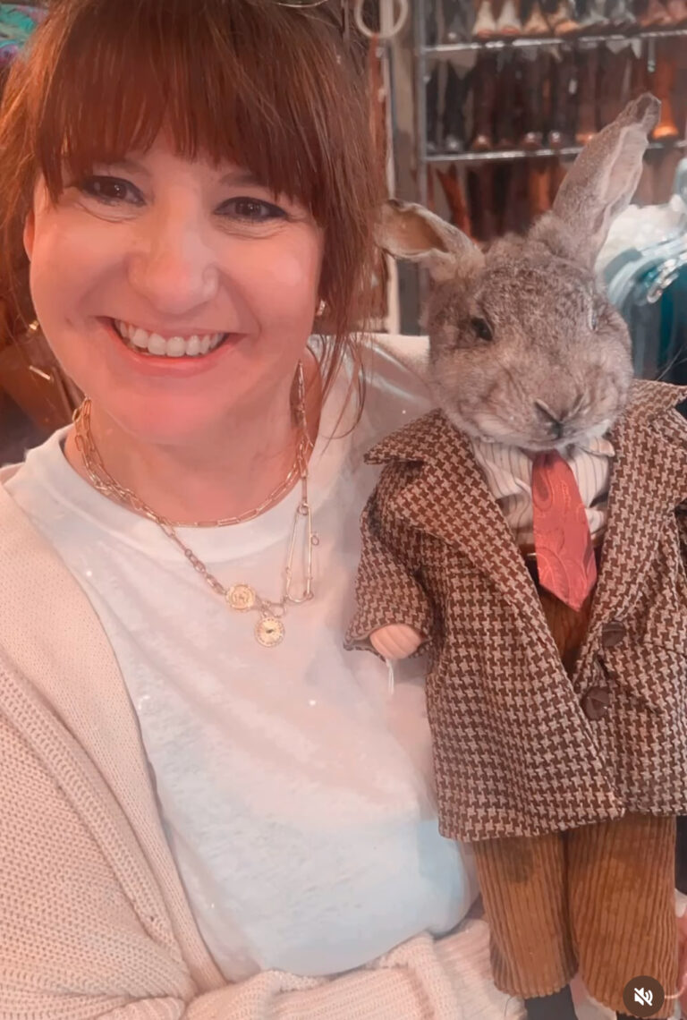 taxidermy | DOLLY PYTHON