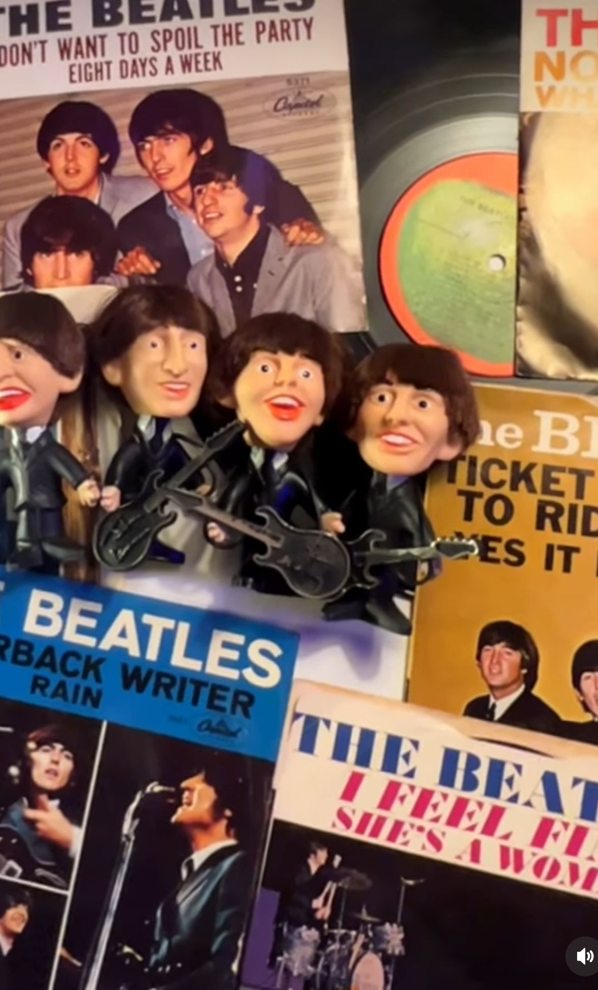 dolls | DOLLY PYTHON