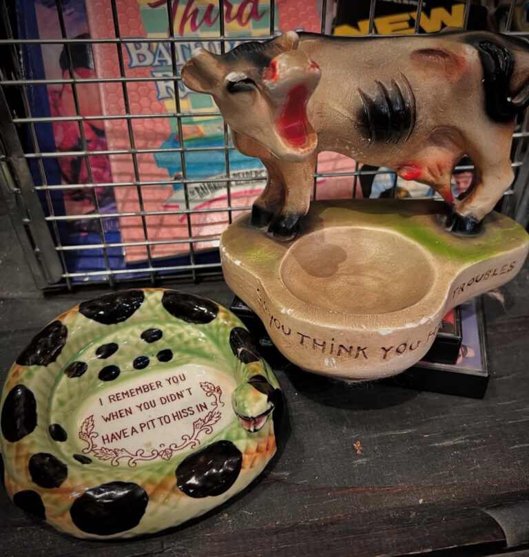 Novelty | DOLLY PYTHON