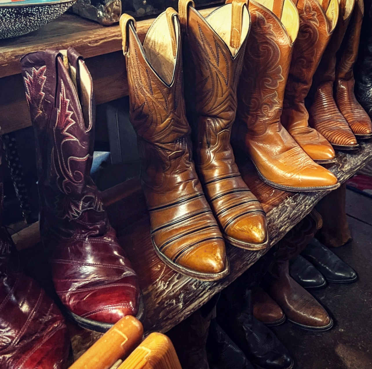 Cowboy boots | DOLLY PYTHON