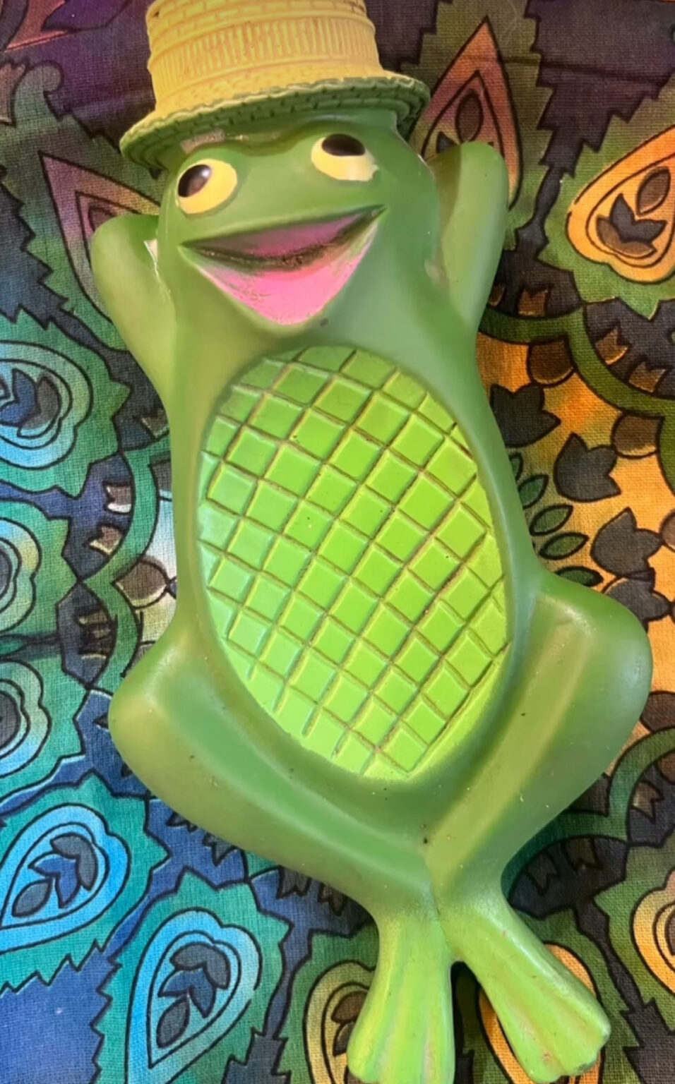 A Frog’s Life | DOLLY PYTHON