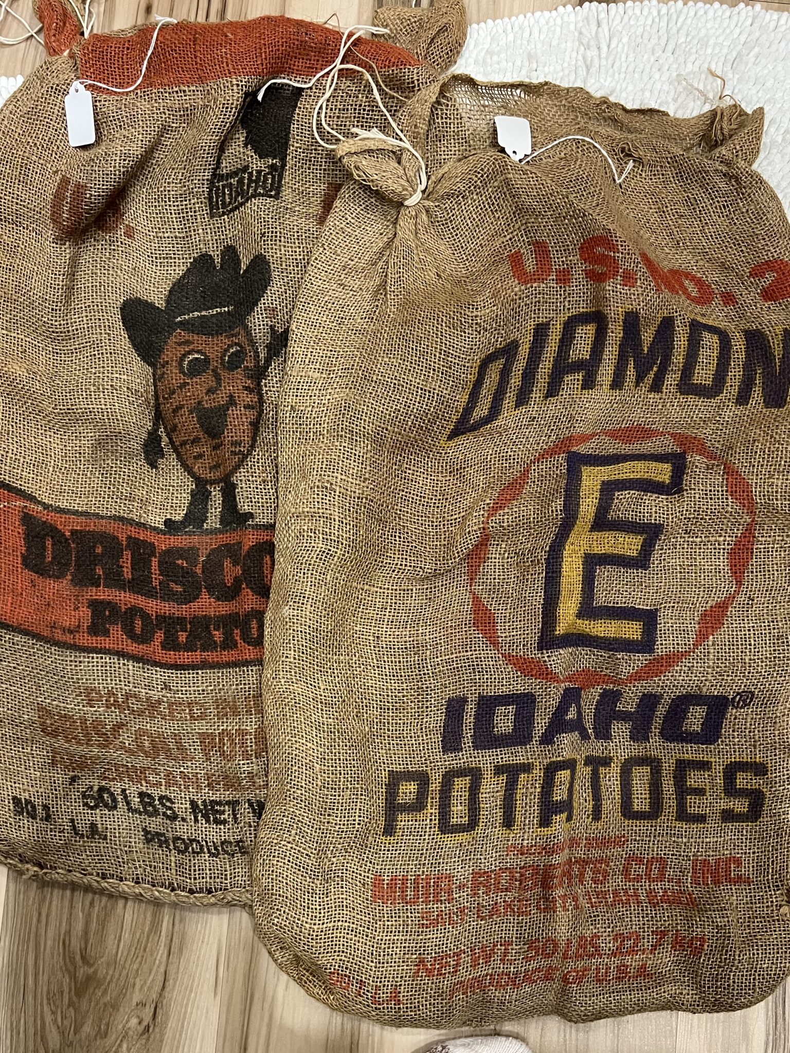 Toe the Line | DOLLY PYTHON