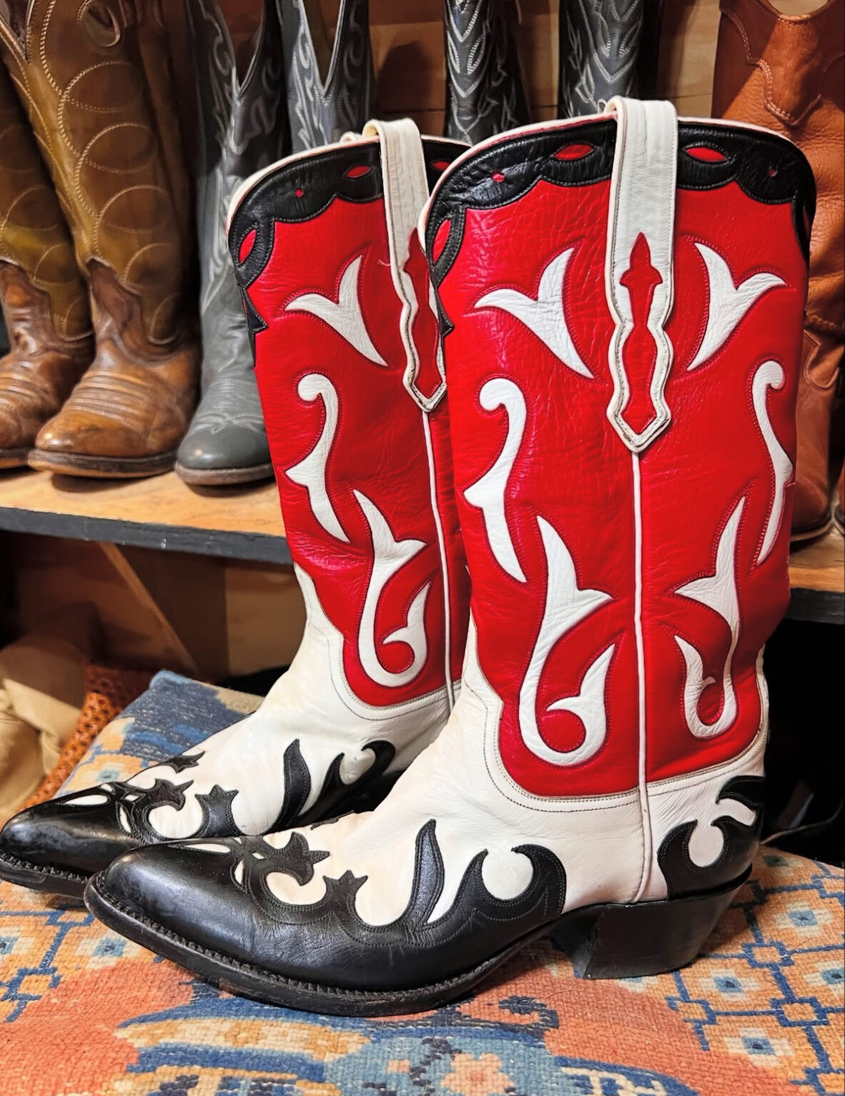 accessories | DOLLY PYTHON