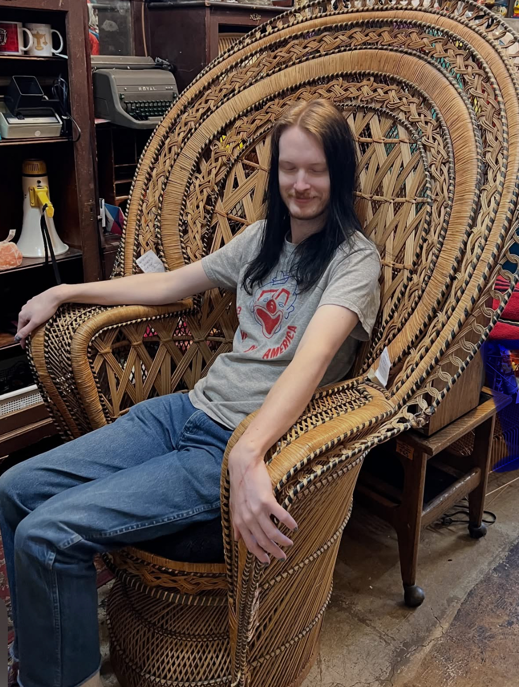 Peacock! | DOLLY PYTHON